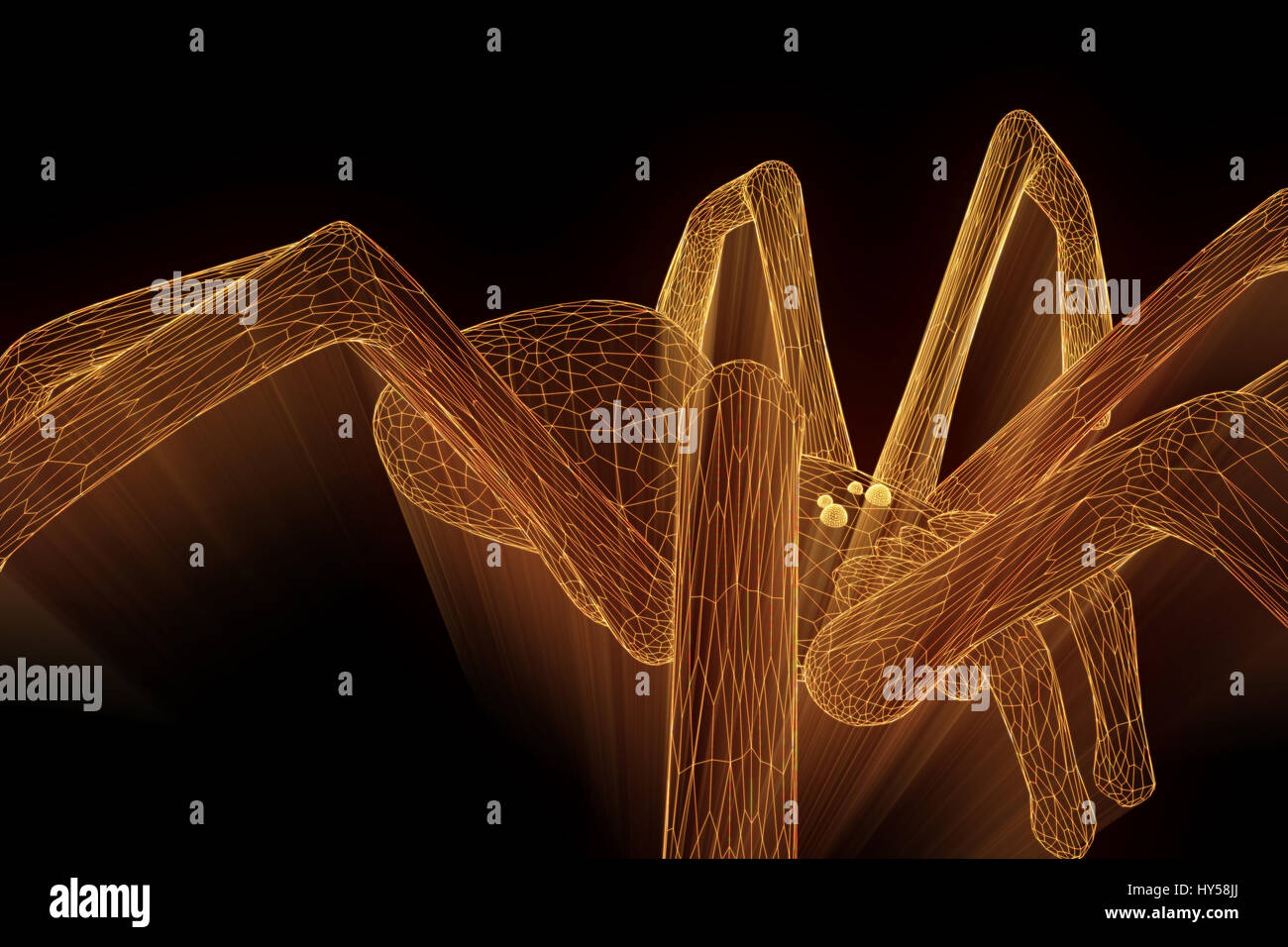 Spider in Hologram Wireframe Style. Nice 3D Rendering Stock Photo - Alamy