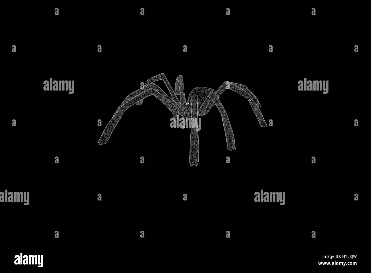 Spider in Hologram Wireframe Style. Nice 3D Rendering Stock Photo - Alamy