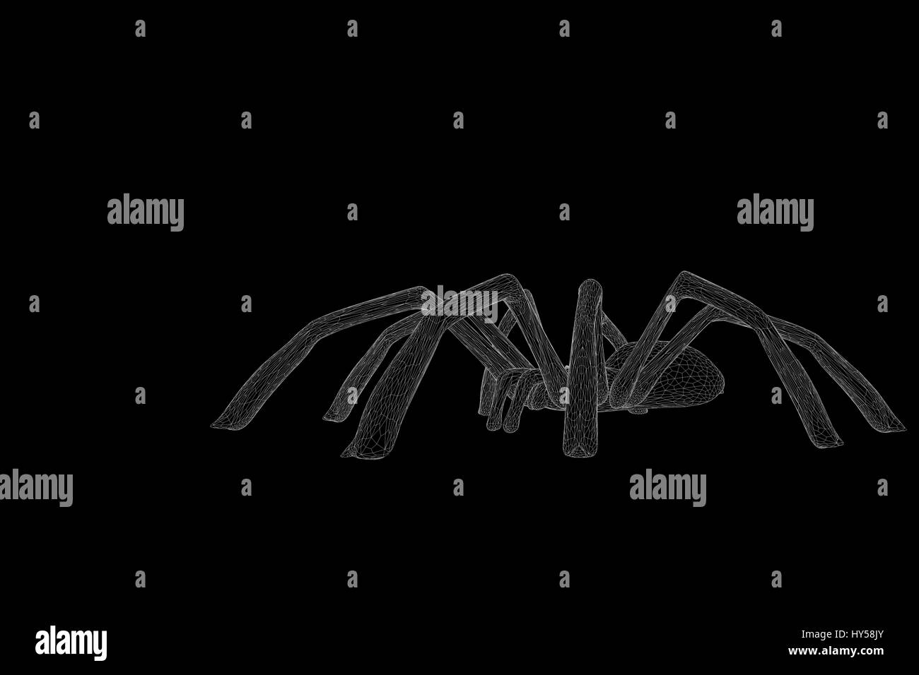 Spider in Hologram Wireframe Style. Nice 3D Rendering Stock Photo - Alamy