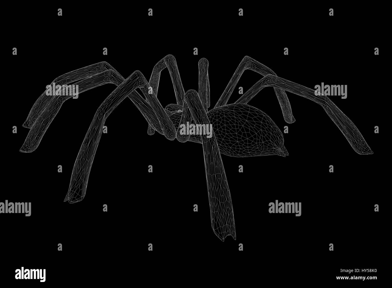 Spider in Hologram Wireframe Style. Nice 3D Rendering Stock Photo - Alamy