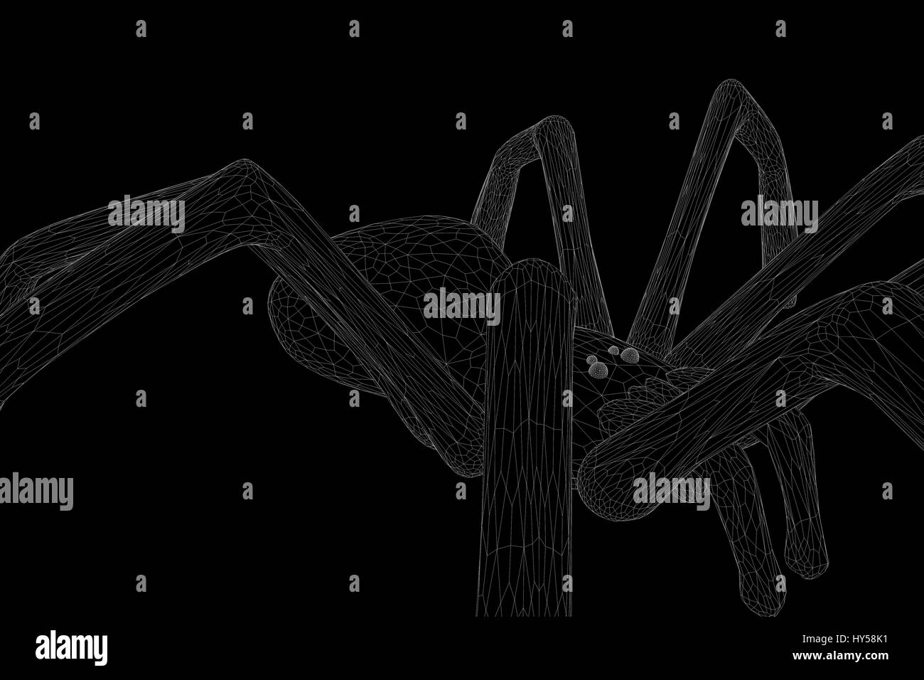 Spider in Hologram Wireframe Style. Nice 3D Rendering Stock Photo - Alamy