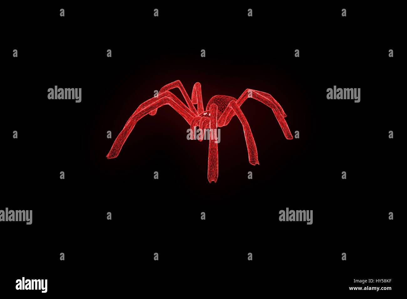 Spider in Hologram Wireframe Style. Nice 3D Rendering Stock Photo - Alamy