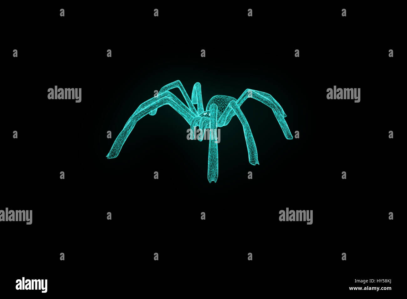 Spider in Hologram Wireframe Style. Nice 3D Rendering Stock Photo - Alamy