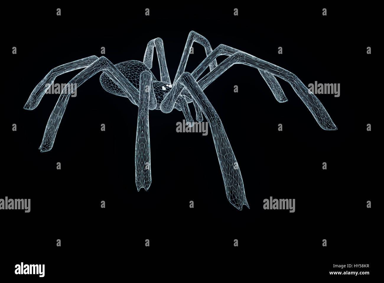 Spider in Hologram Wireframe Style. Nice 3D Rendering Stock Photo - Alamy