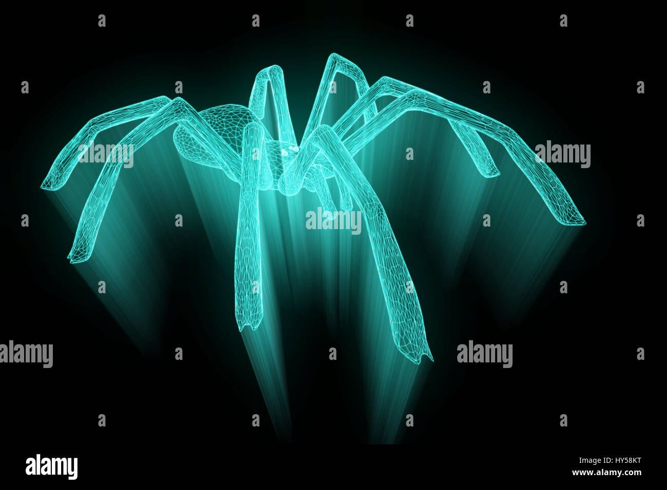 Spider in Hologram Wireframe Style. Nice 3D Rendering Stock Photo - Alamy