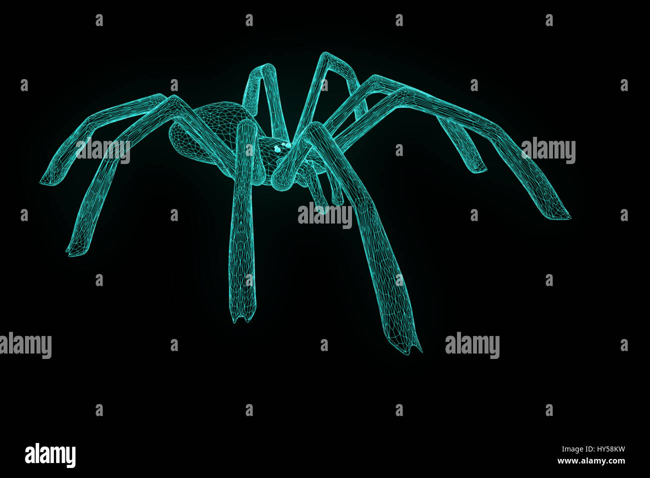 Spider in Hologram Wireframe Style. Nice 3D Rendering Stock Photo - Alamy