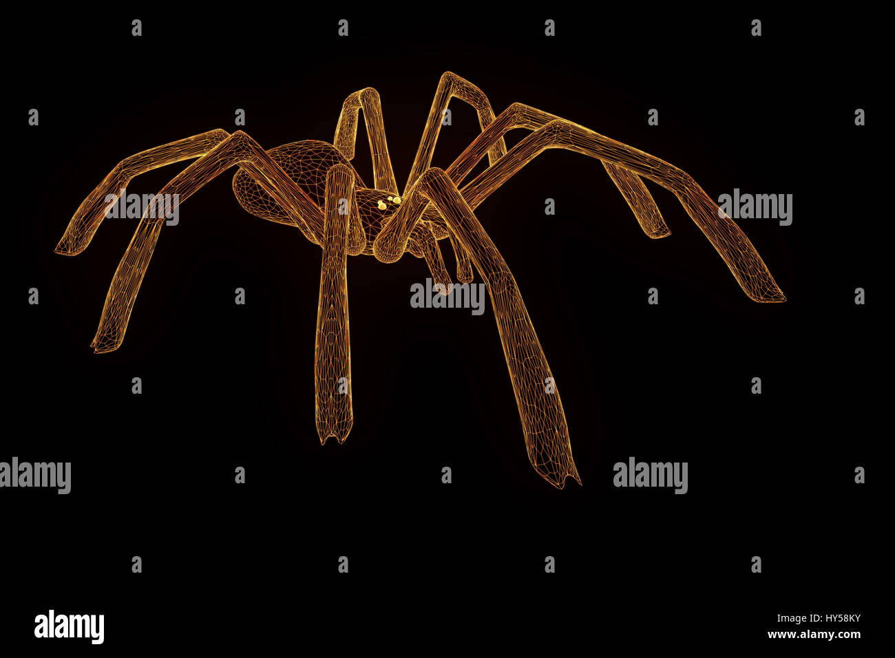 Spider in Hologram Wireframe Style. Nice 3D Rendering Stock Photo - Alamy