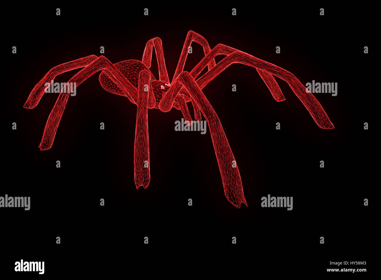 Spider in Hologram Wireframe Style. Nice 3D Rendering Stock Photo - Alamy