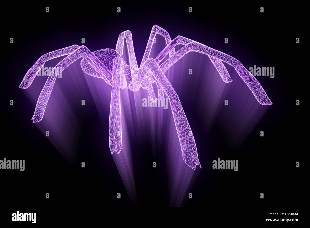 Spider in Hologram Wireframe Style. Nice 3D Rendering Stock Photo - Alamy