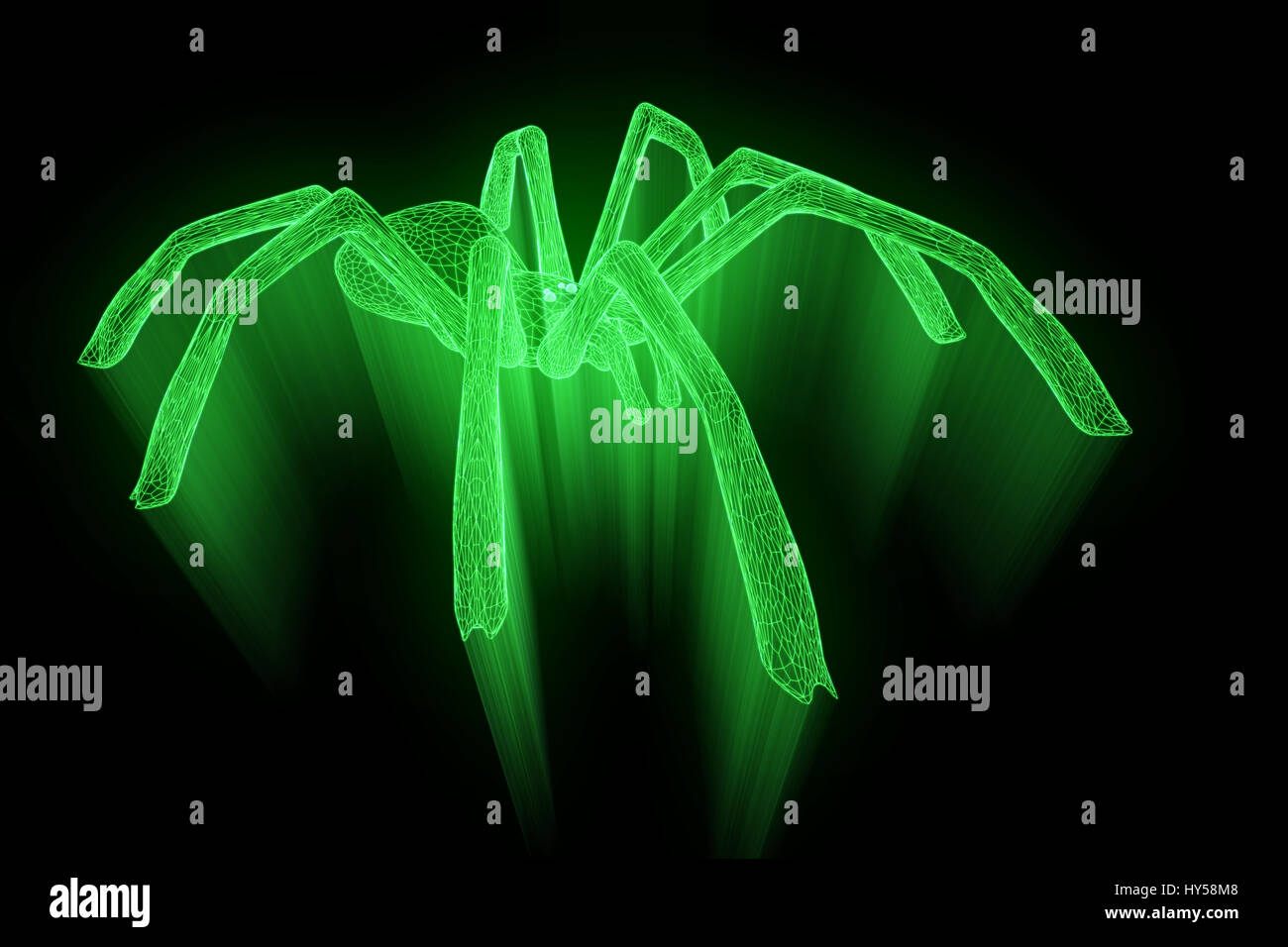 Spider in Hologram Wireframe Style. Nice 3D Rendering Stock Photo - Alamy