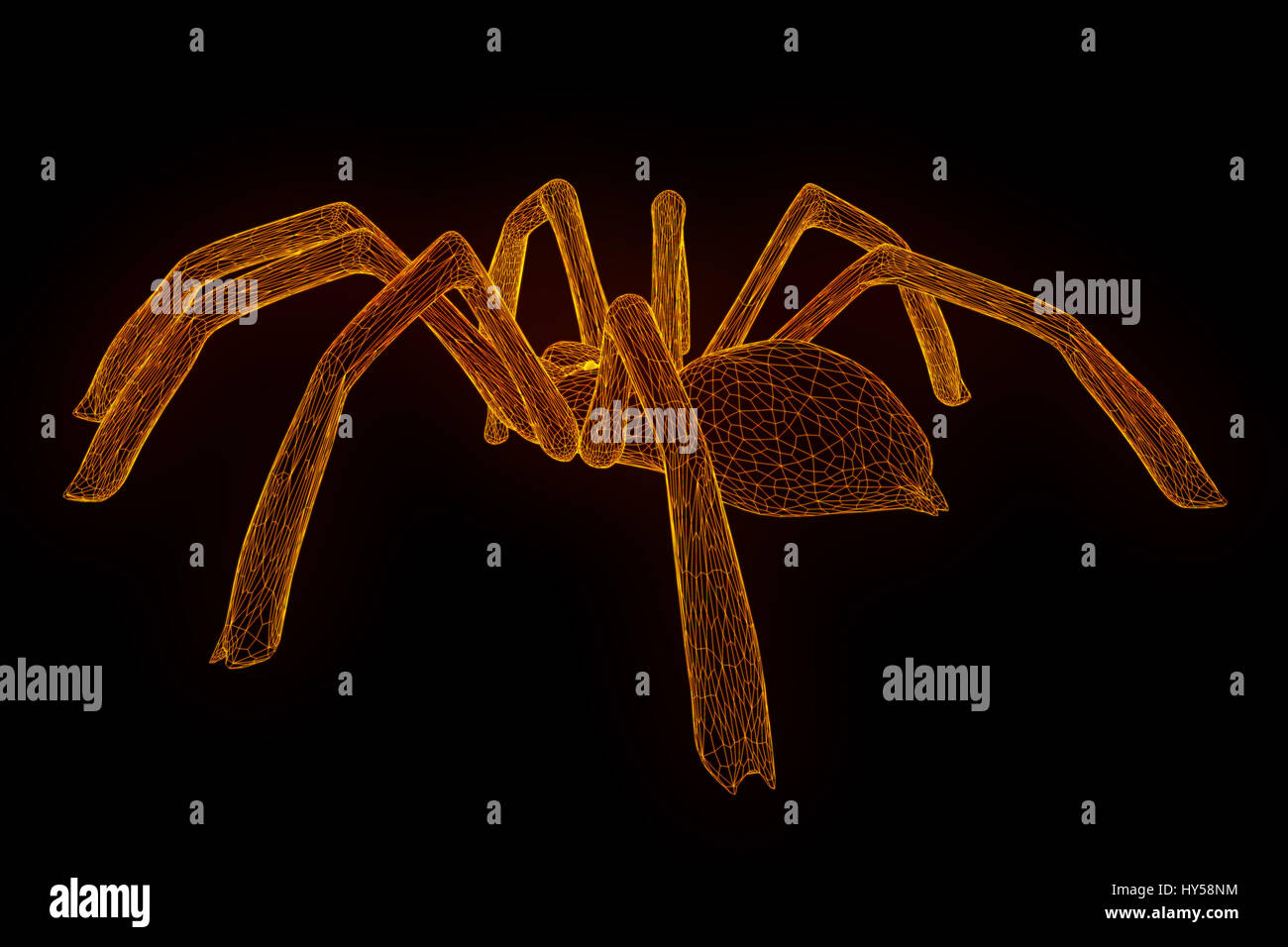 Spider in Hologram Wireframe Style. Nice 3D Rendering Stock Photo - Alamy