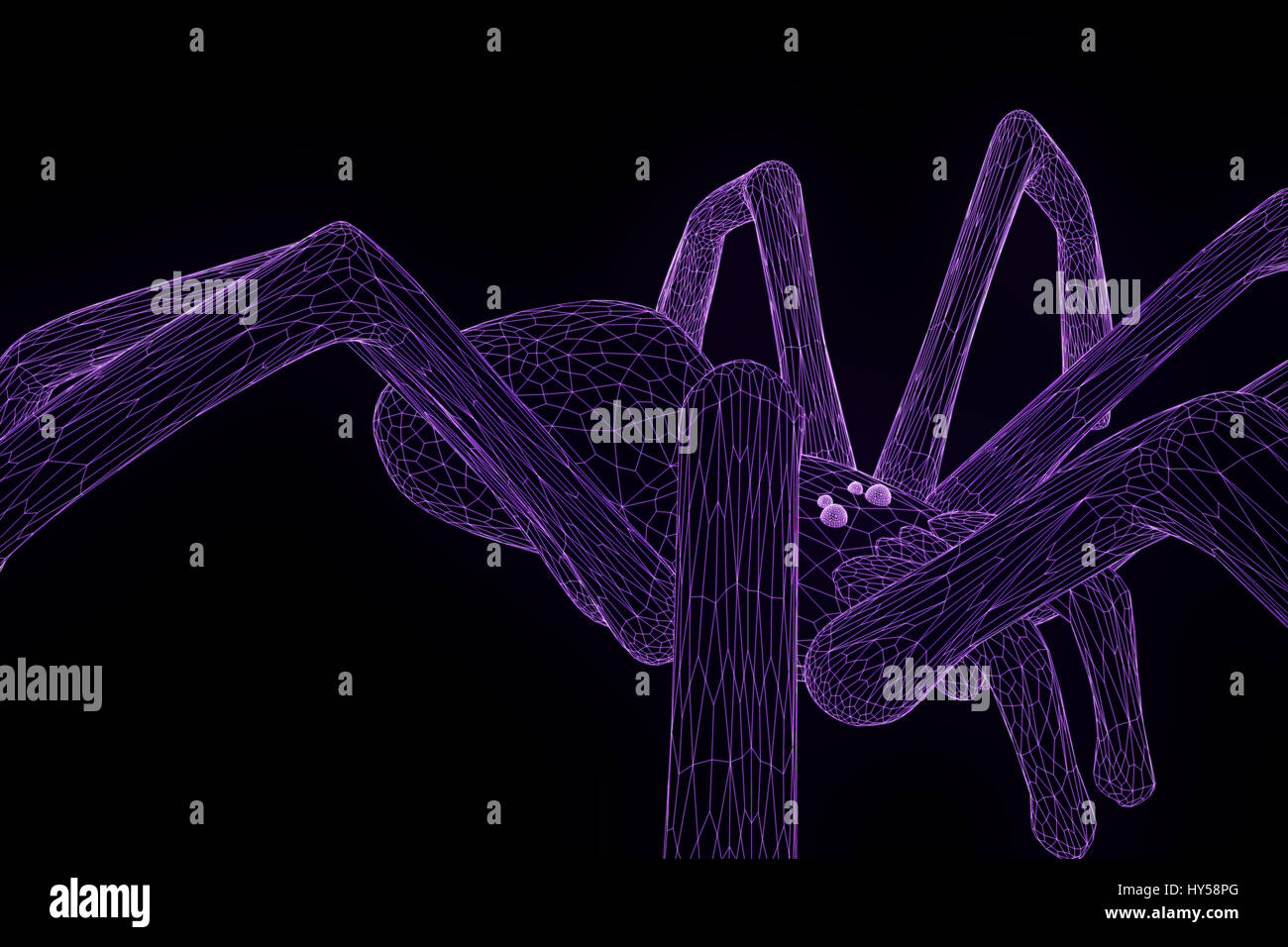 Spider in Hologram Wireframe Style. Nice 3D Rendering Stock Photo - Alamy