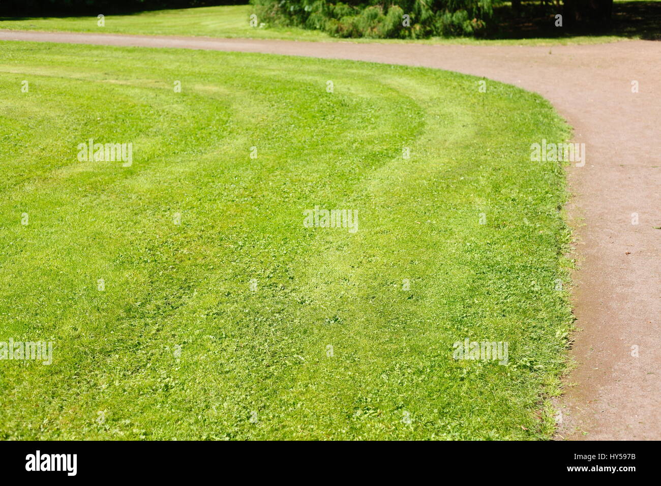 Walk weed hi-res stock photography and images - Alamy