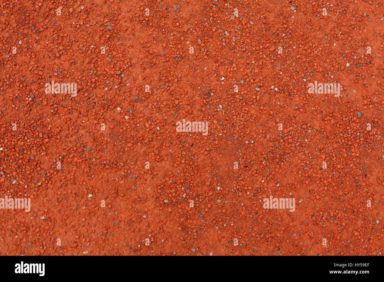 Red Walk in a Park Stock Photo - Alamy