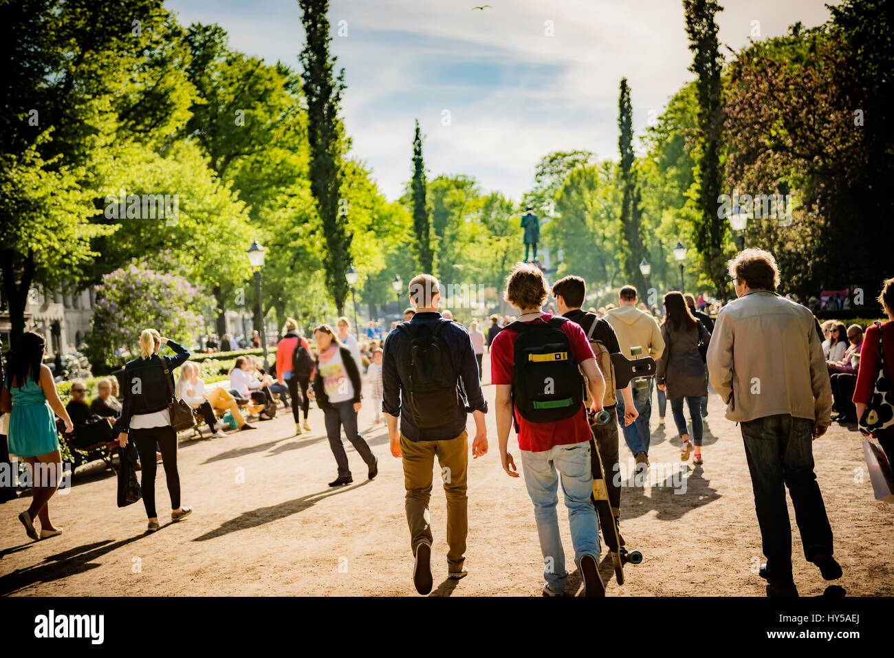 Helsinki trees hi-res stock photography and images - Alamy