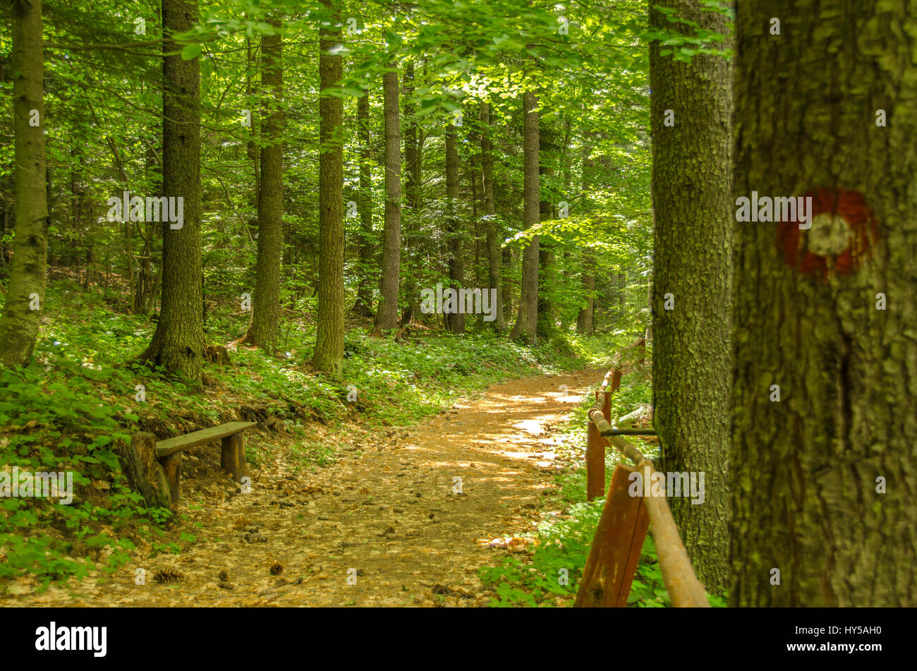 Marked Mountain Track Stock Photo - Alamy
