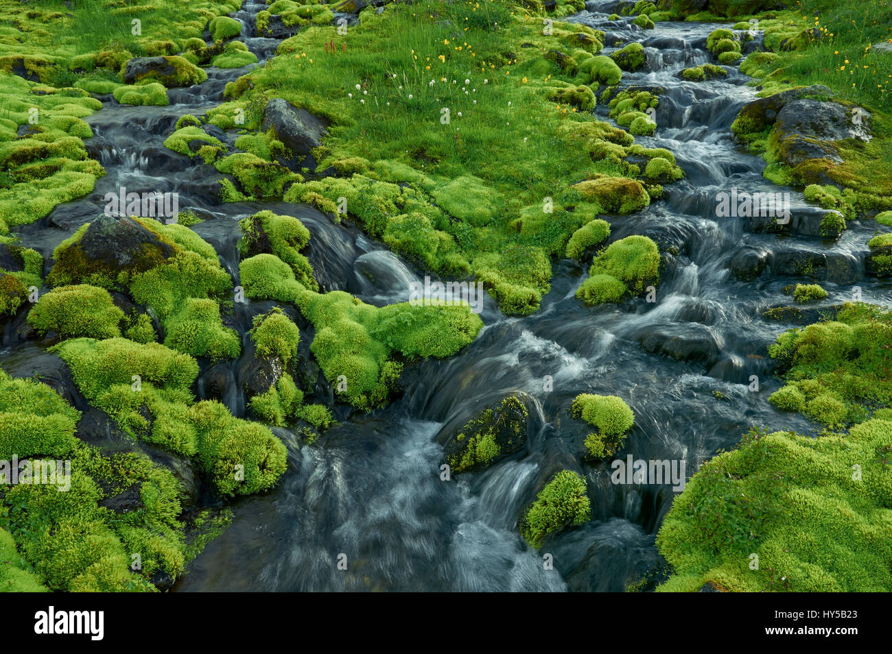 Rocks covered in green moss hi-res stock photography and images - Alamy
