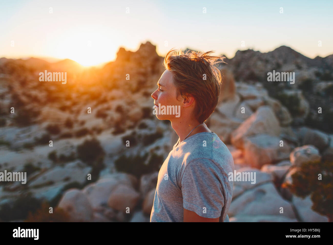 Contemplating the sunset hi-res stock photography and images - Alamy