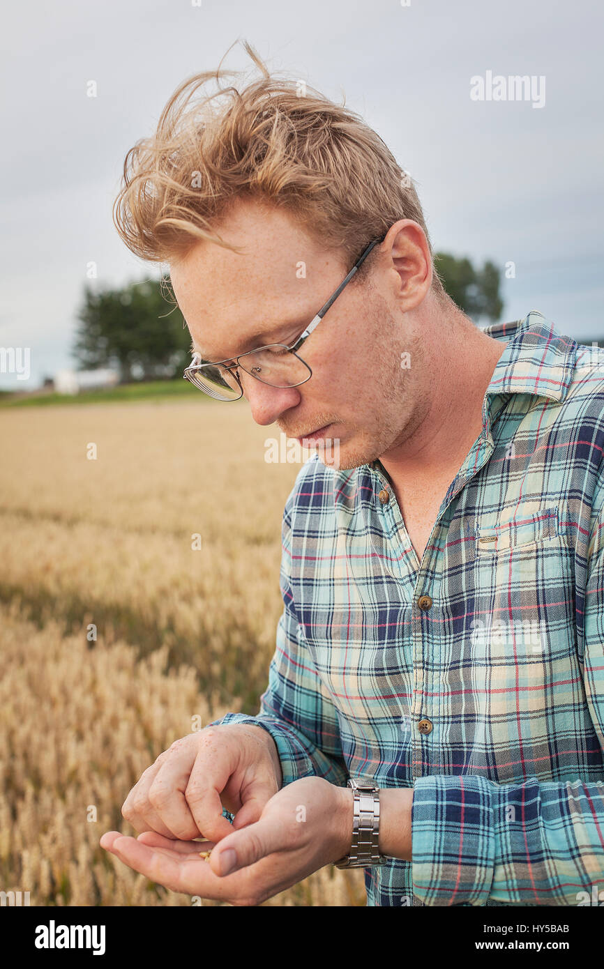 Man holding wheat hi-res stock photography and images - Alamy
