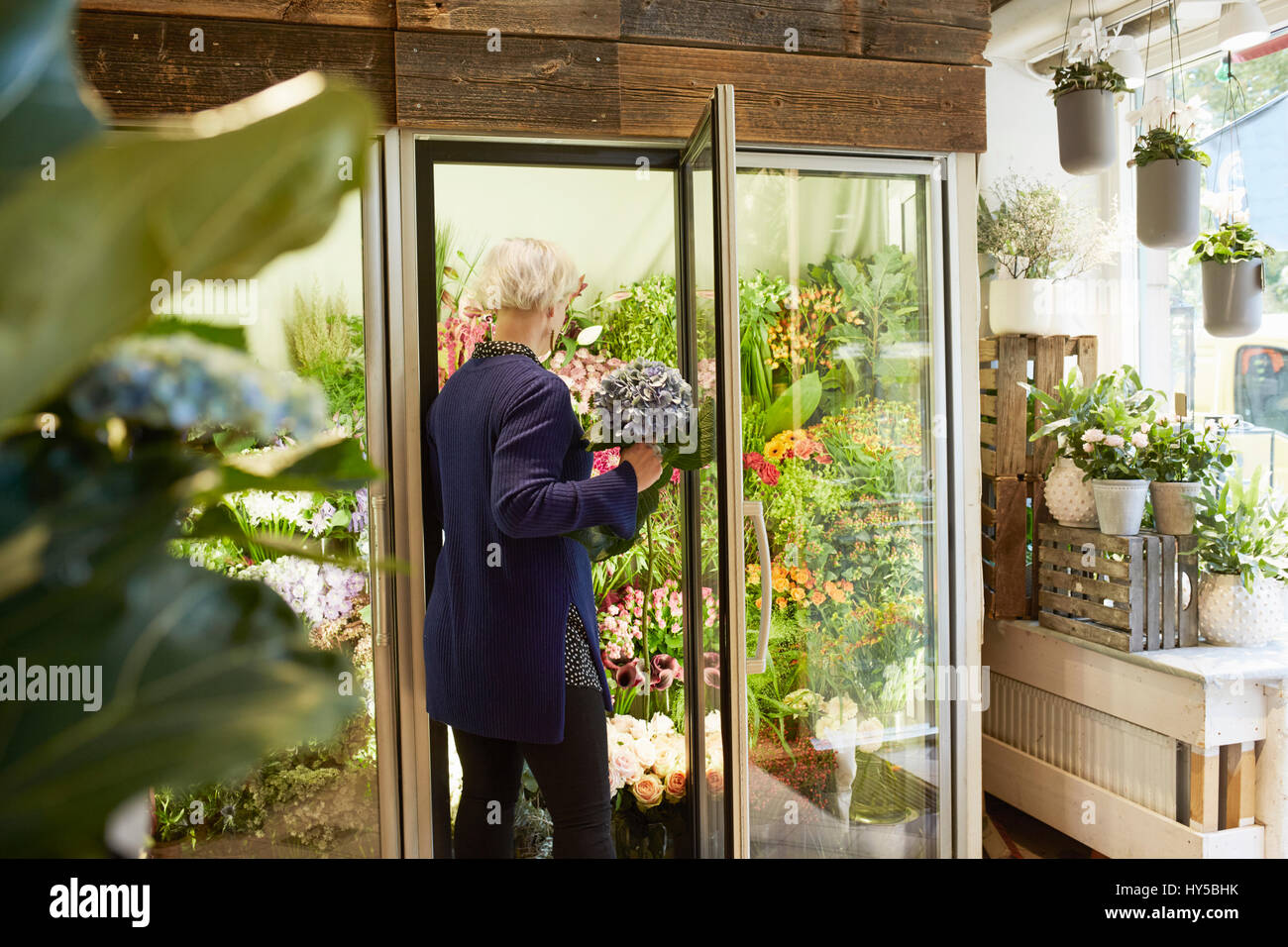 Person working in shop hi-res stock photography and images - Alamy