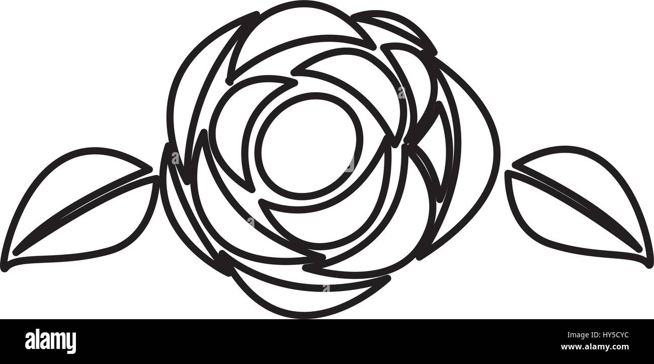 cute rose isolated icon vector illustration design Stock Vector Image ...