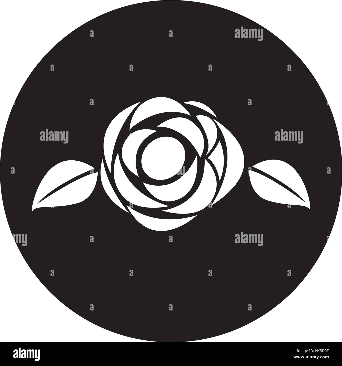 cute rose isolated icon vector illustration design Stock Vector Image ...