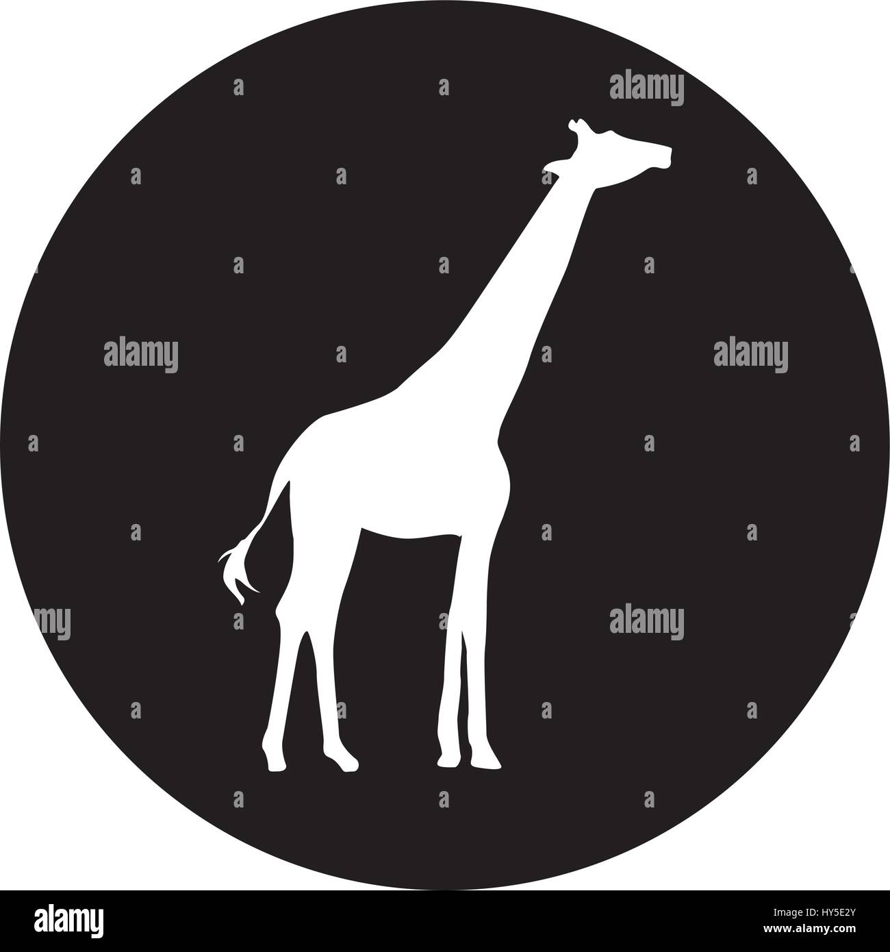 giraffe animal isolated icon Stock Vector Image & Art - Alamy