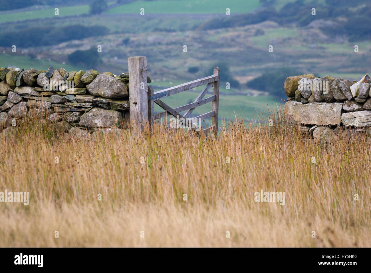 Field gate left open Stock Photo - Alamy