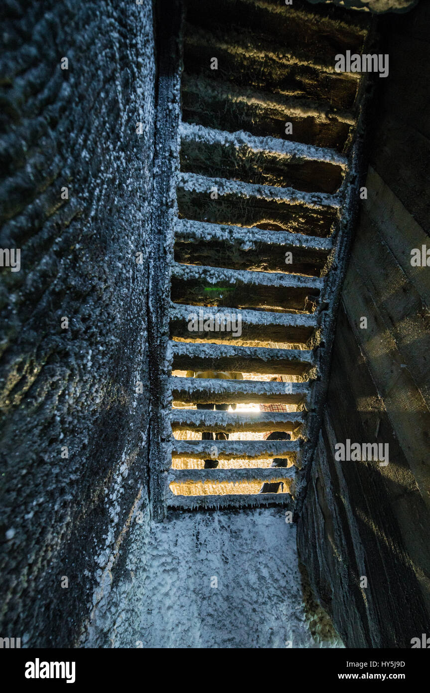 Stairs in Salina Turda salt mine located in the Durgau-Valea Sarata ...