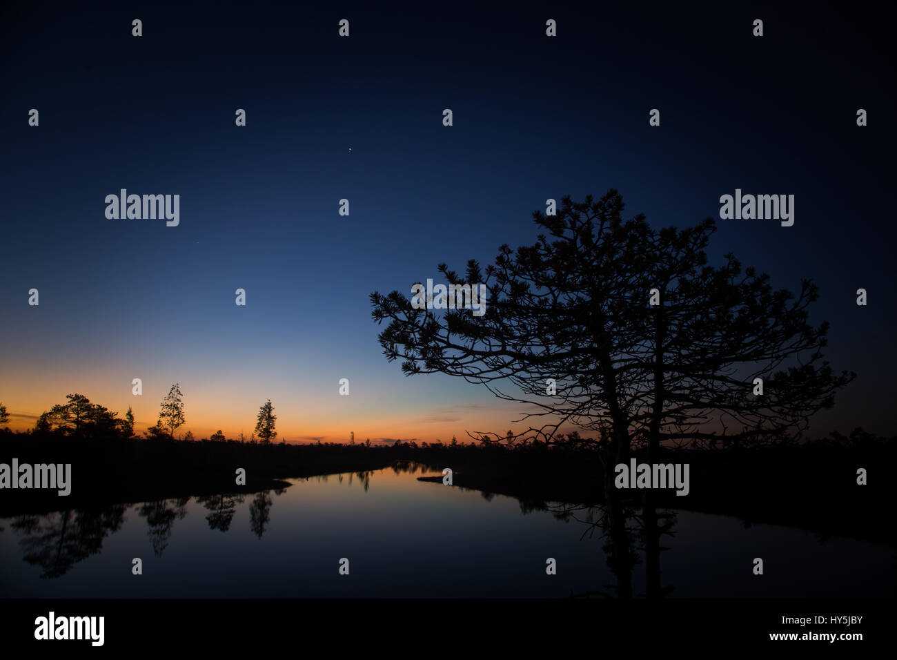 A beautiful, artistic, colorful morning landscape of a North European ...