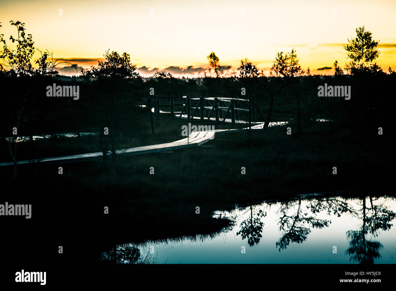 A beautiful, artistic, colorful morning landscape of a North European ...
