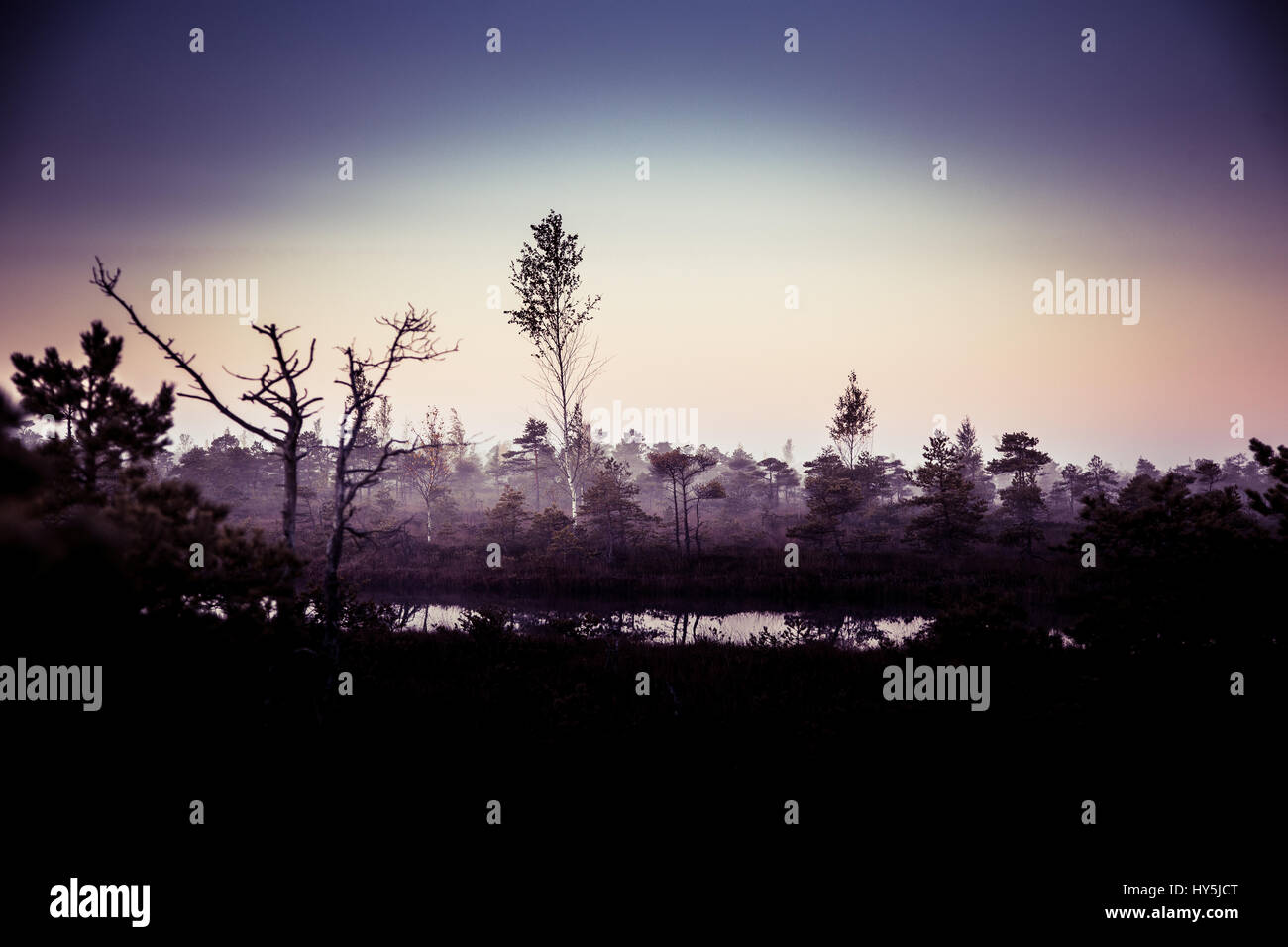 A beautiful, artistic, colorful morning landscape of a North European ...