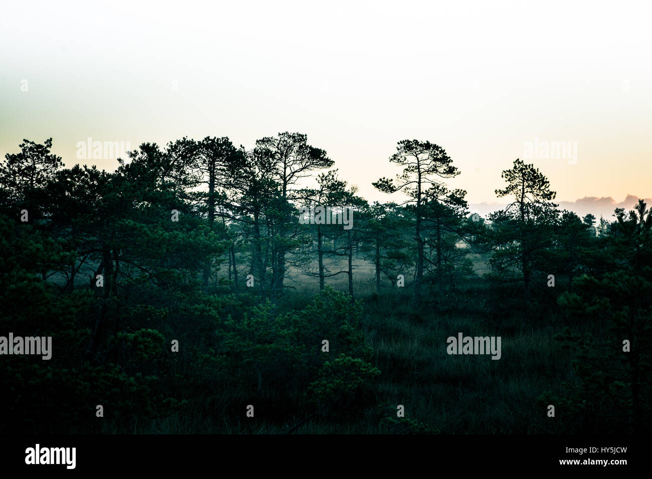 A beautiful, artistic, colorful morning landscape of a North European ...