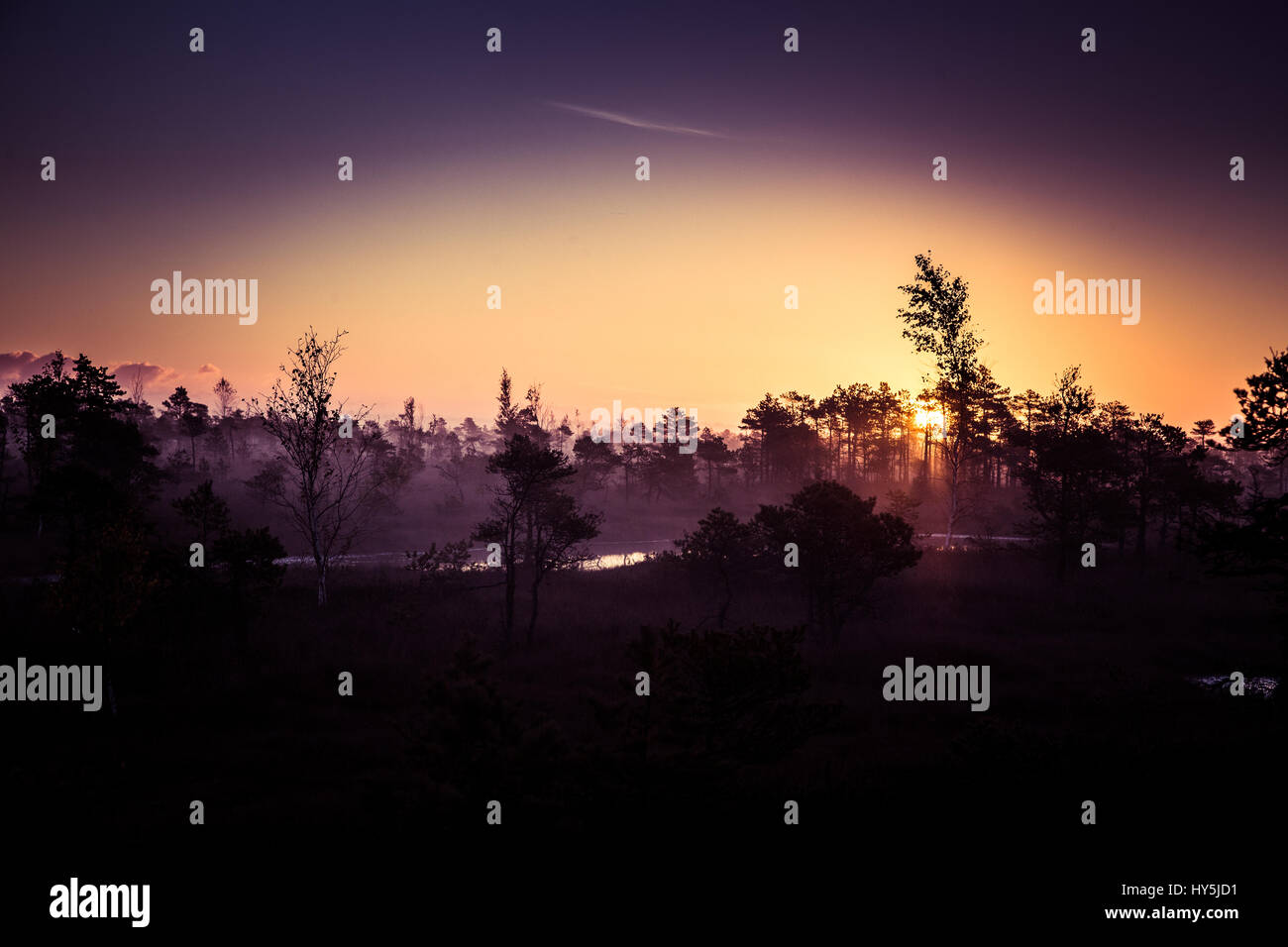 A beautiful, artistic, colorful morning landscape of a North European ...