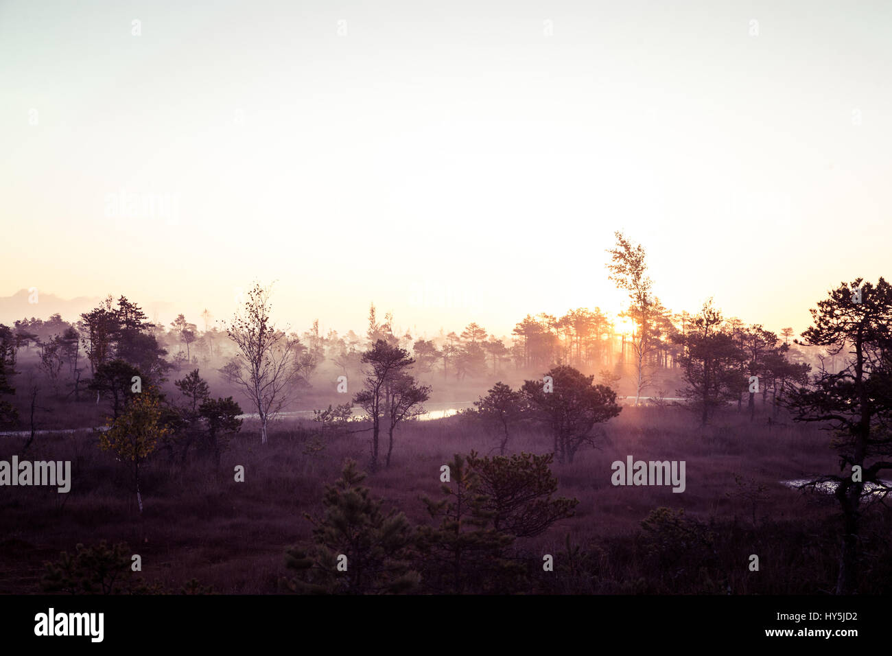 A beautiful, artistic, colorful morning landscape of a North European ...