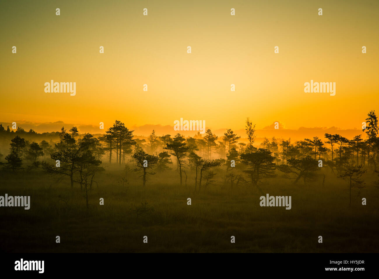 A beautiful, artistic, colorful morning landscape of a North European ...