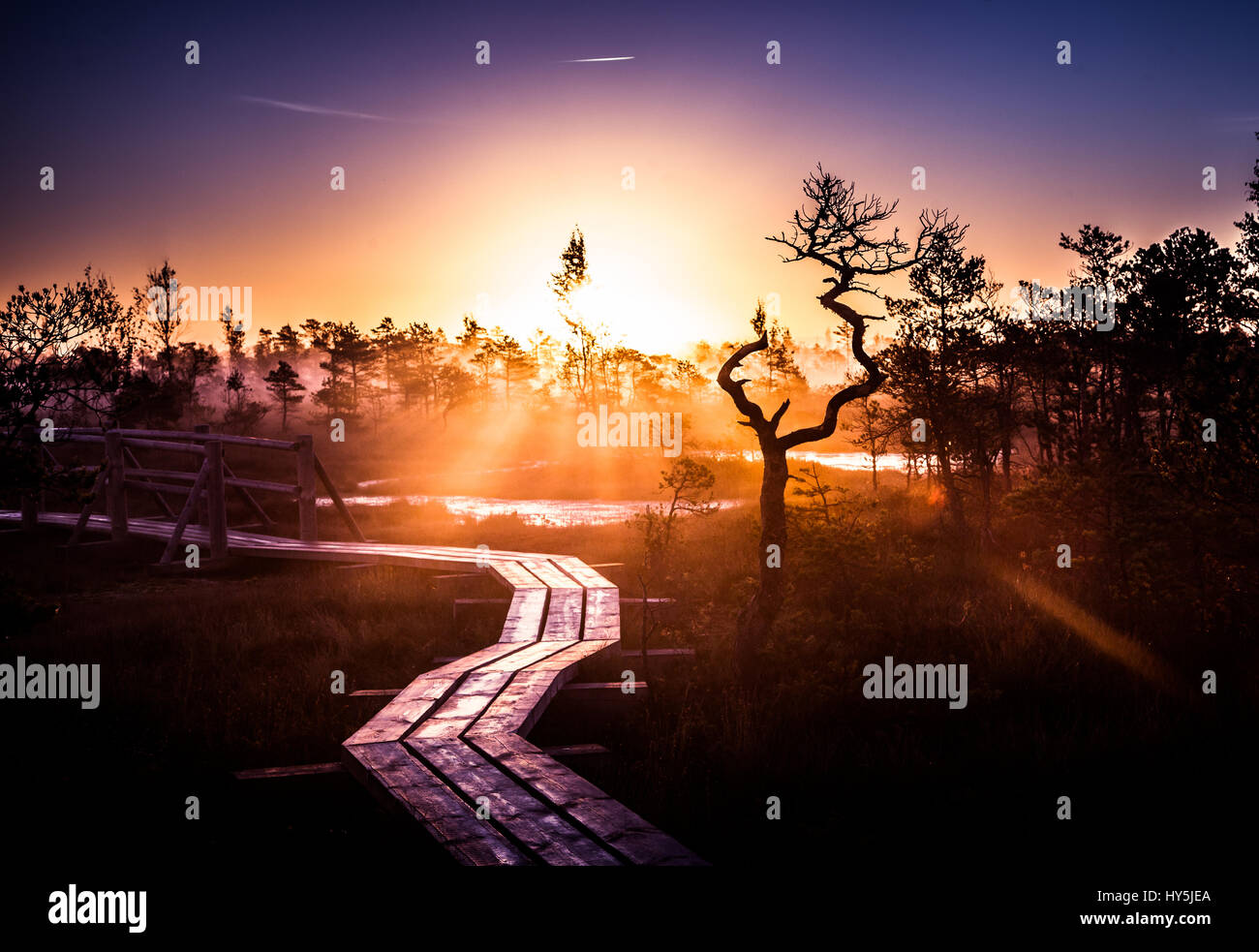 A beautiful, artistic, colorful morning landscape of a North European ...