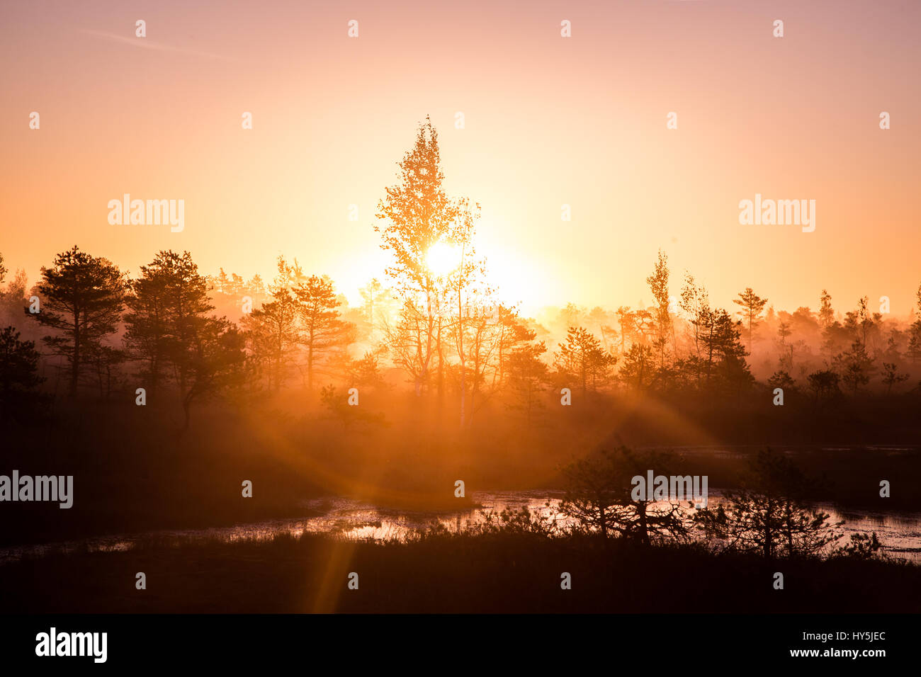 A beautiful, artistic, colorful morning landscape of a North European ...