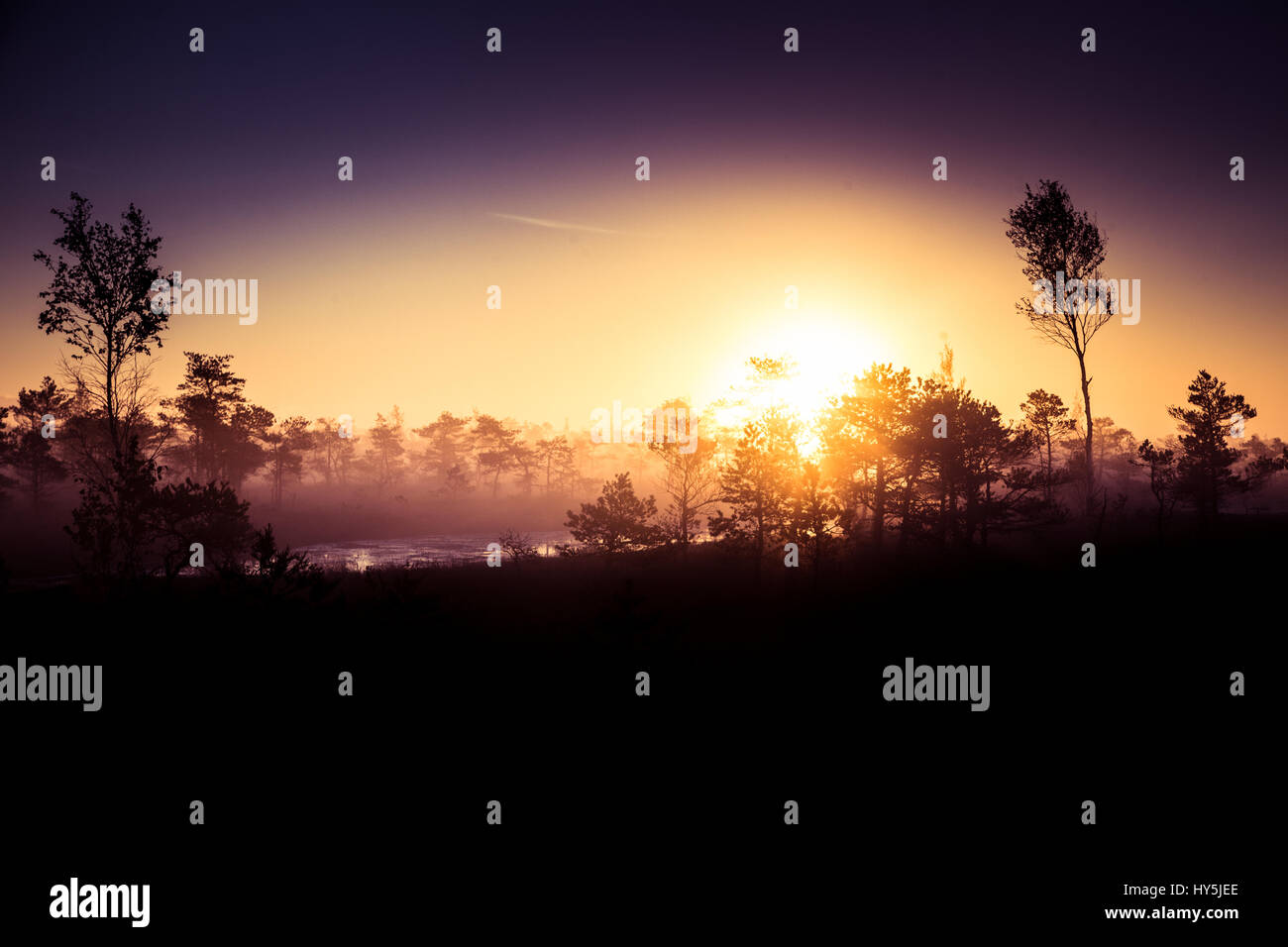 A beautiful, artistic, colorful morning landscape of a North European ...