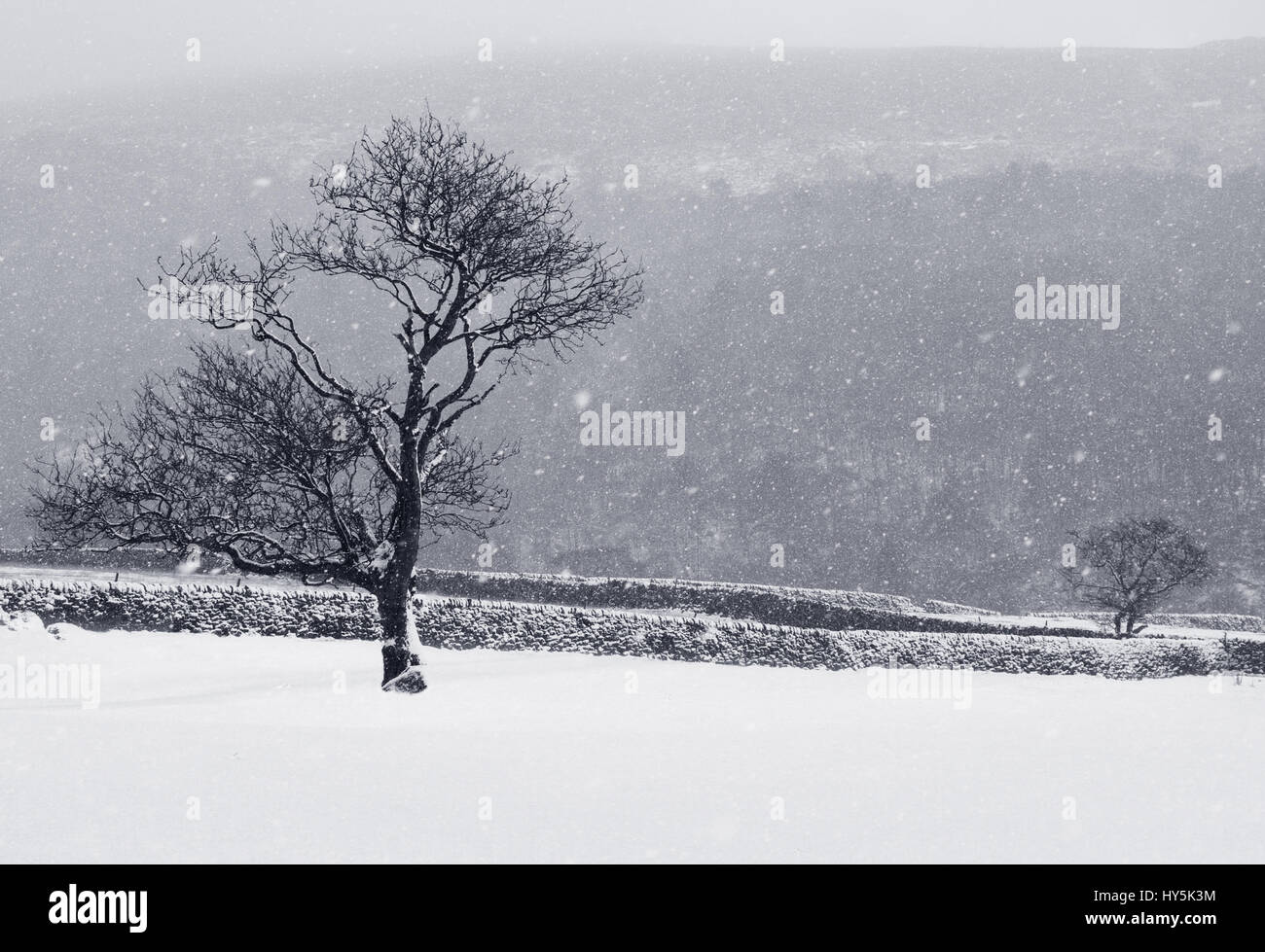 Scene scenes scenic scenery hi-res stock photography and images - Alamy