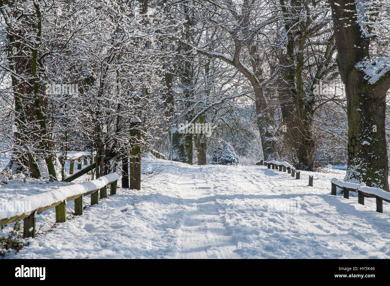 Beautiful Woodland Snow Scene Stock Photos & Beautiful Woodland Snow ...