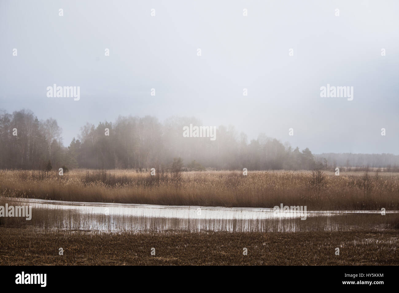 A beautiful early spring landscape with a lake Stock Photo - Alamy