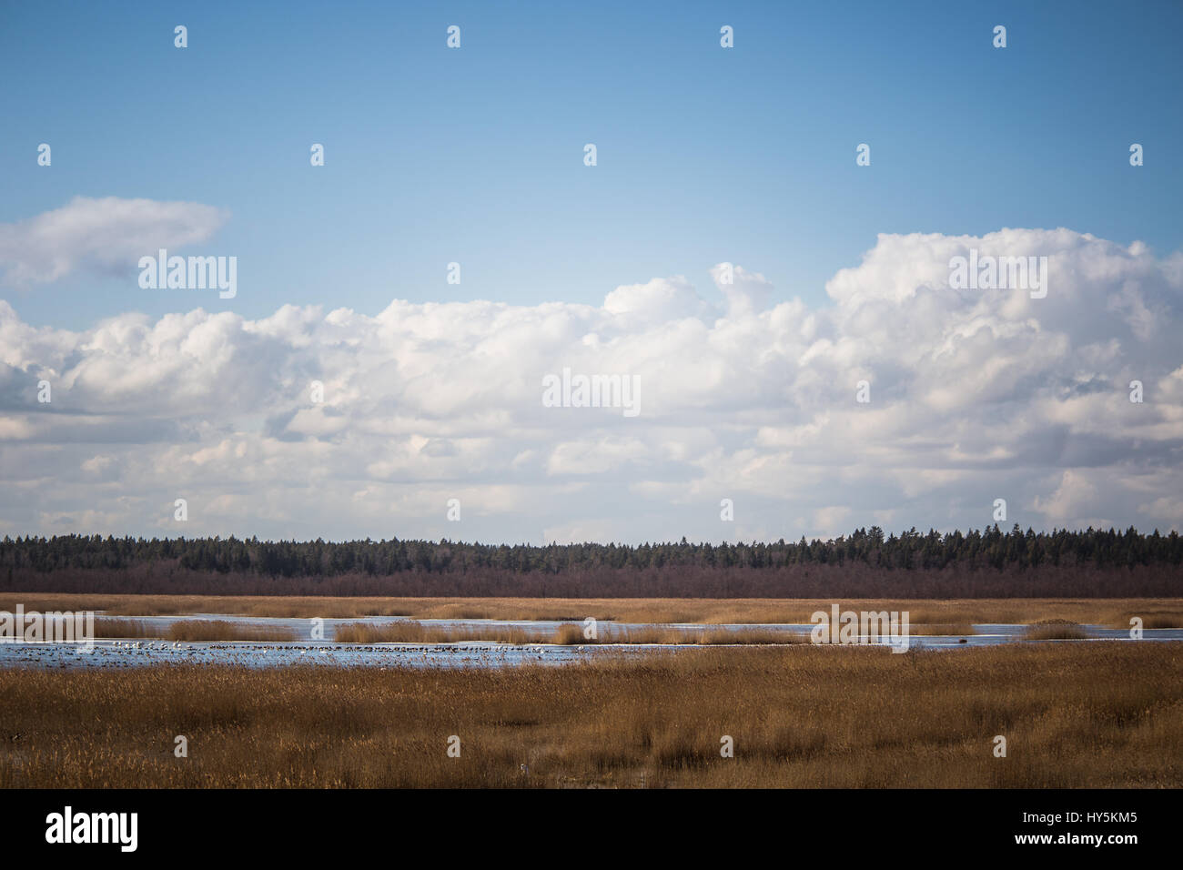 A beautiful early spring landscape with a lake Stock Photo - Alamy