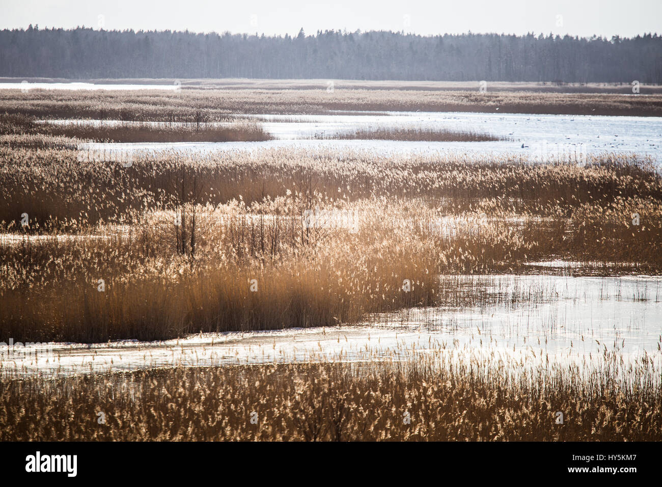 A beautiful early spring landscape with a lake Stock Photo - Alamy