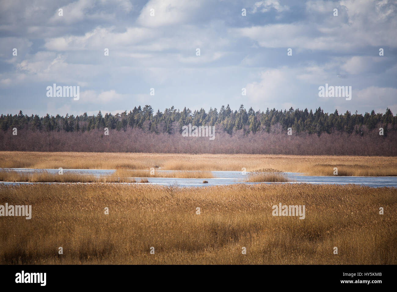 A beautiful early spring landscape with a lake Stock Photo - Alamy