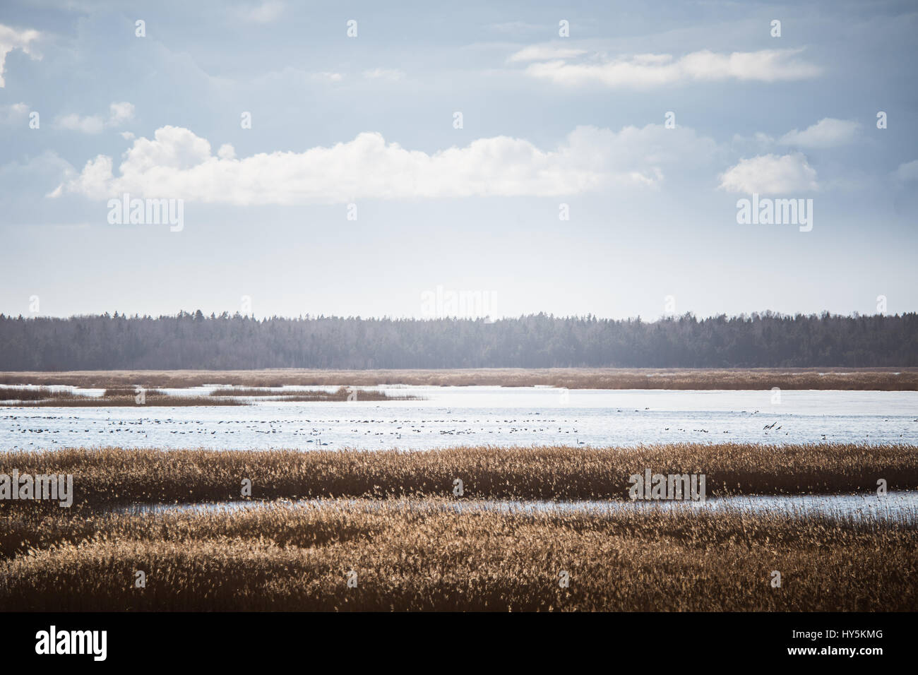 A beautiful early spring landscape with a lake Stock Photo - Alamy