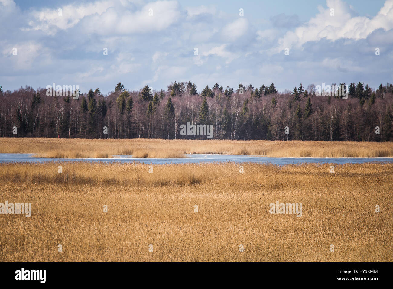 A beautiful early spring landscape with a lake Stock Photo - Alamy