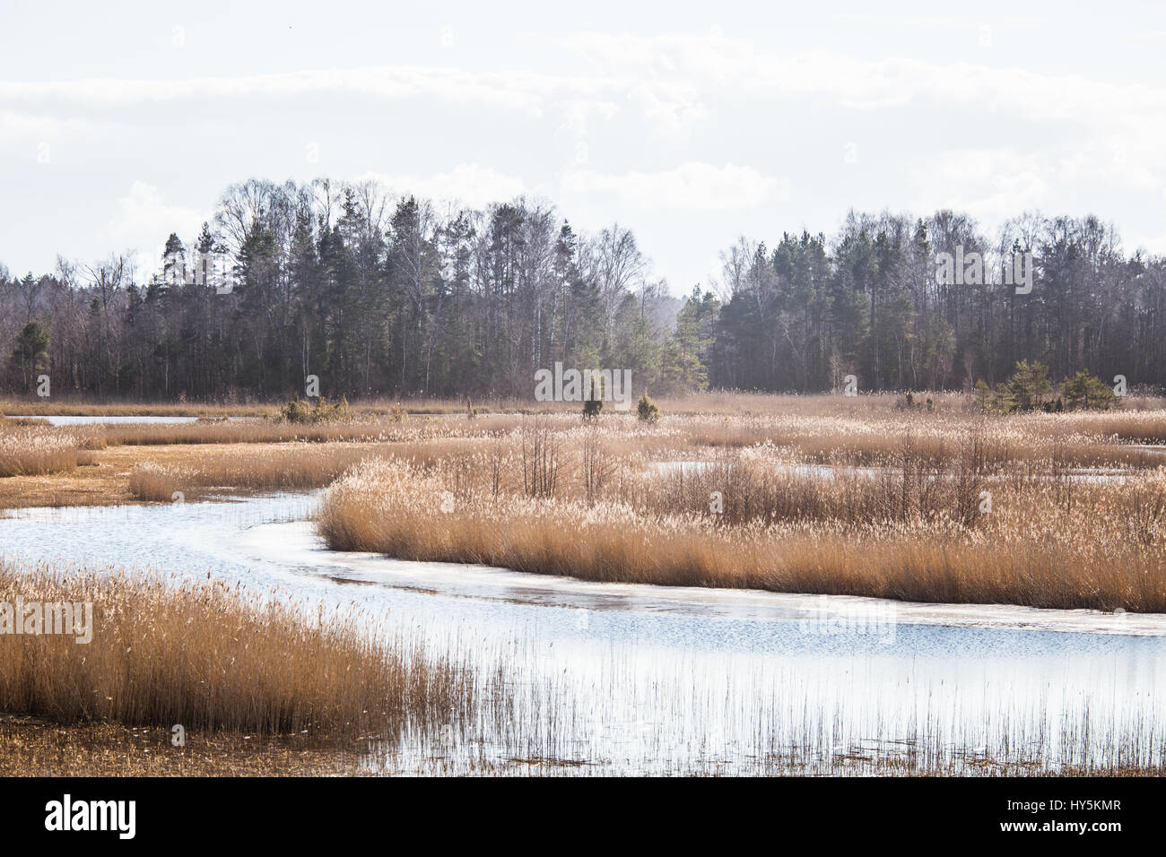 A beautiful early spring landscape with a lake Stock Photo - Alamy