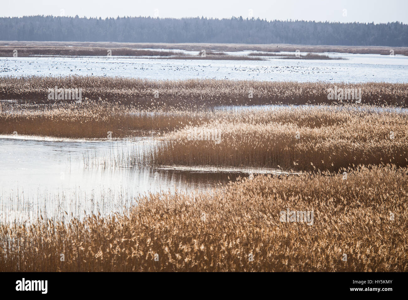 A beautiful early spring landscape with a lake Stock Photo - Alamy