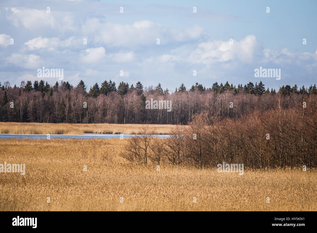 A beautiful early spring landscape with a lake Stock Photo - Alamy